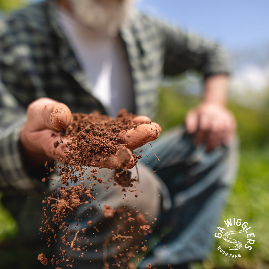 GA Wigglers Worm Farm